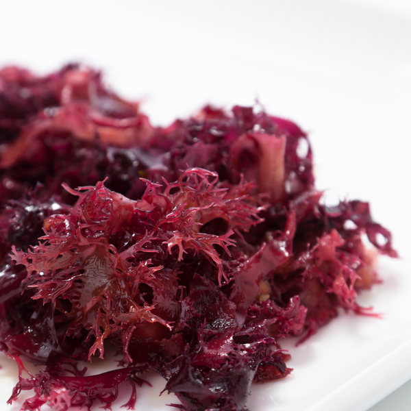 Red Algae – Another of Nature’s Miracles - Ultimate Living